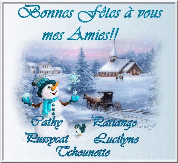 JOYEUSES FETES DE NOEL MES AMIES